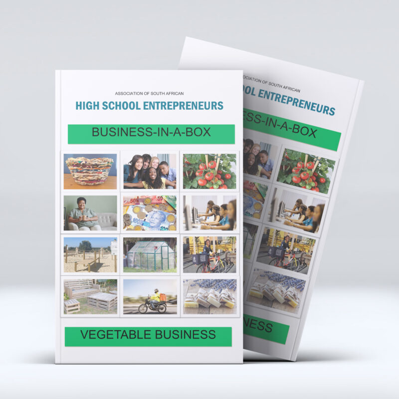 Teen Entrepreneur | Big Ideas Start Young